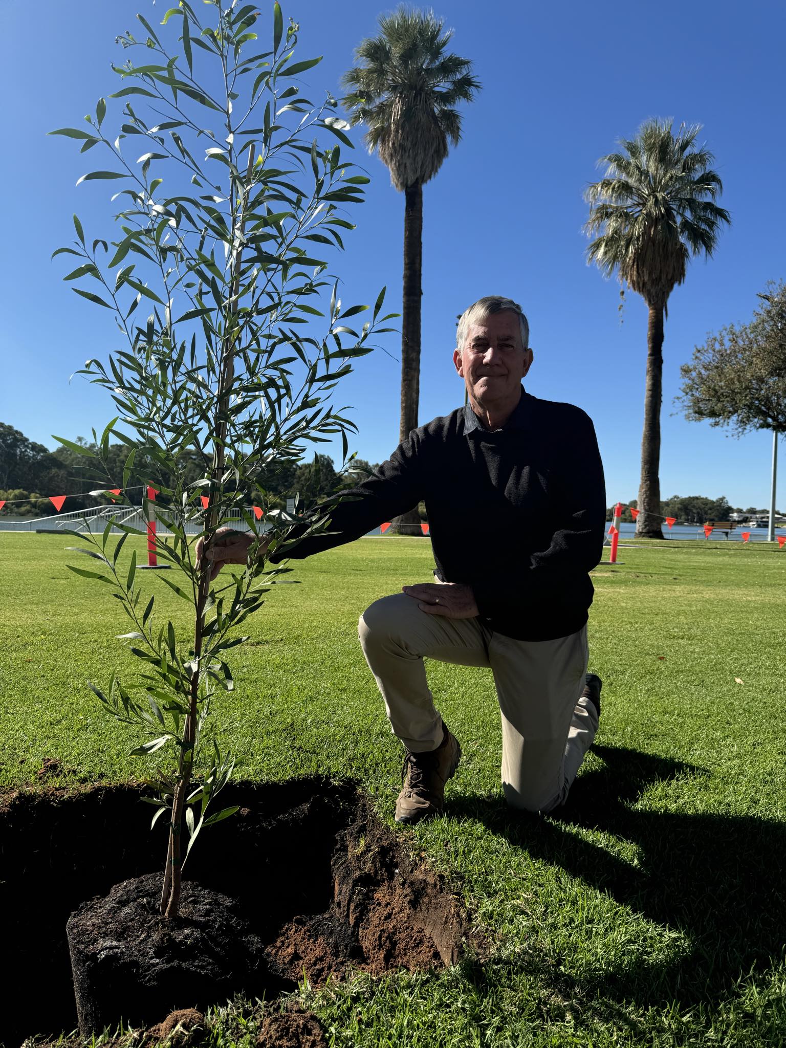 Renmark Riverfront Gets Shady | Renmark Paringa News | Engage RPC
